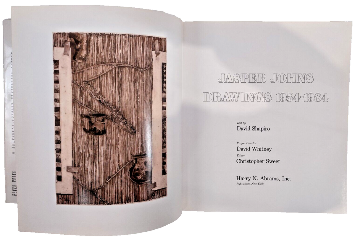 Jasper Johns Drawings, 1954-1984 By Shapiro, David – Éco-Dépôt Montréal
