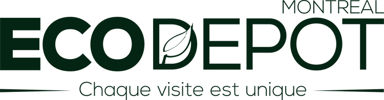 Thrift store vintage shop second hand antique retro picker sustainable